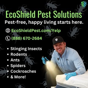 Pest control reviews store