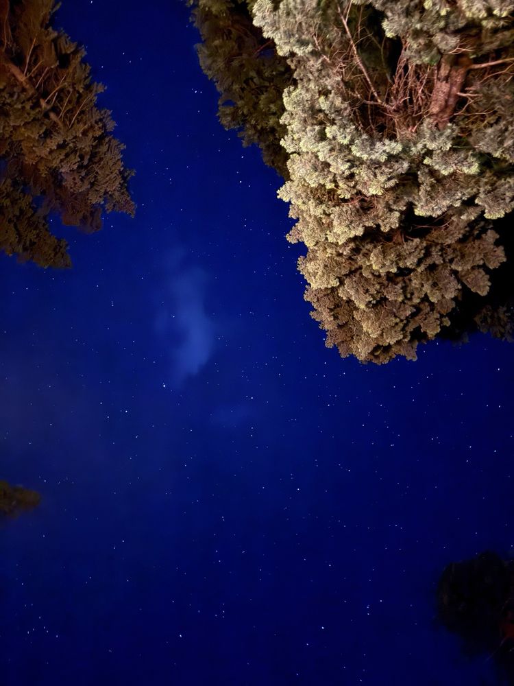 LODGEPOLE CAMPGROUND - Updated December 2025 - 18 Photos - Emigrant Gap ...