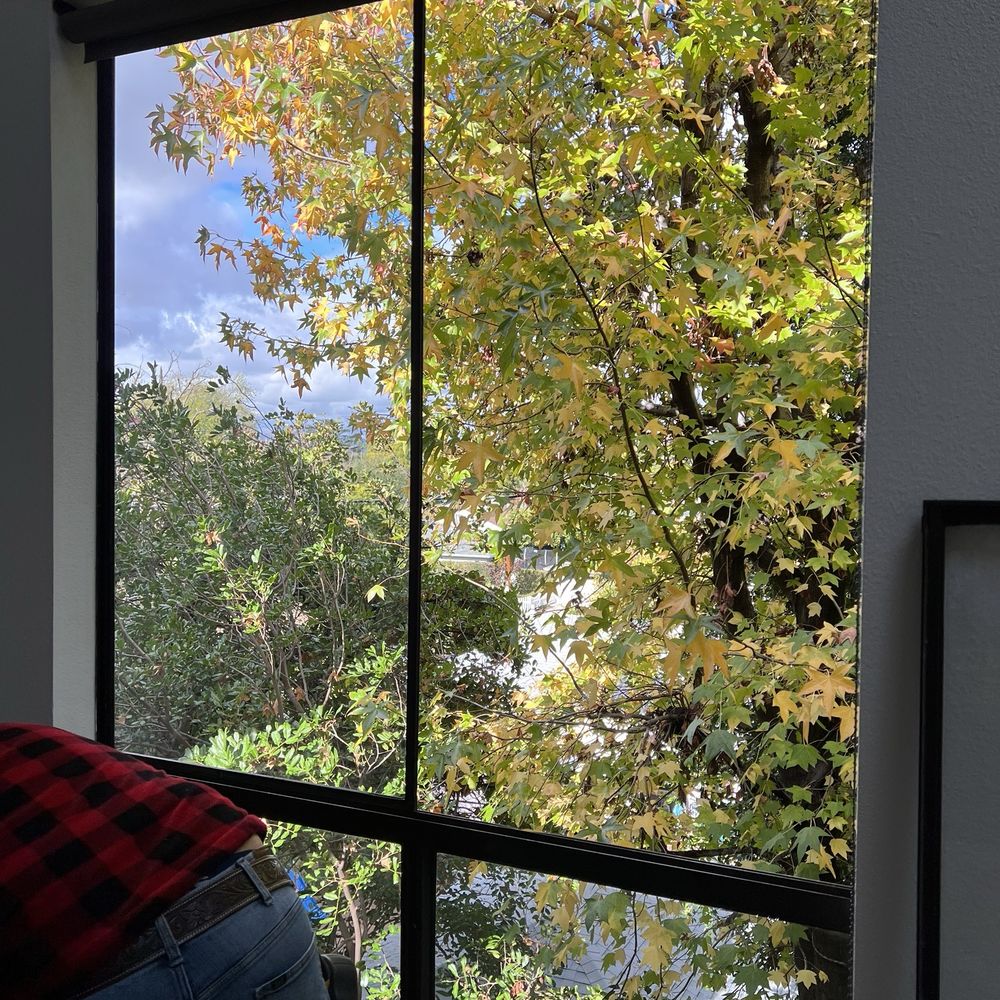 Glass replacement store
