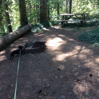 LAKE MAYFIELD RESORT & MARINA - Updated June 2025 - 22 Photos & 31 ...