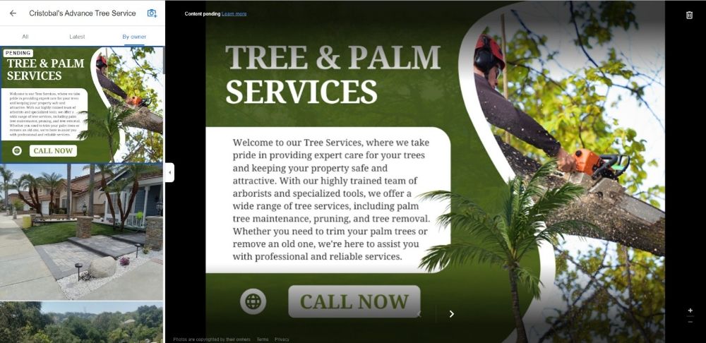 ADVANCE TREES SERVICE - 26 Photos - Ontario, California - Tree Services ...