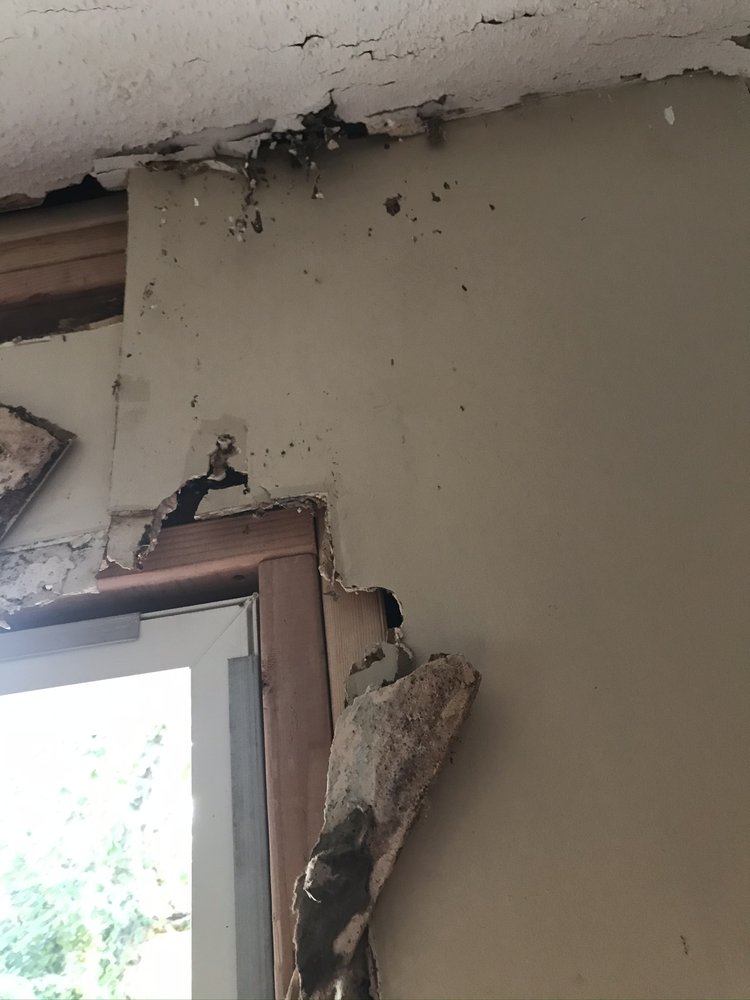 ALENCO - Updated May 2024 - 12 Photos & 18 Reviews - 16201 W 110th St ...