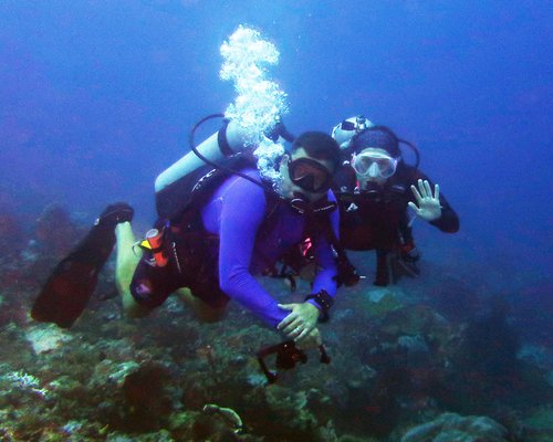 KEY LARGO DIVE CENTER - Updated January 2026 - 55 Photos & 38 Reviews ...