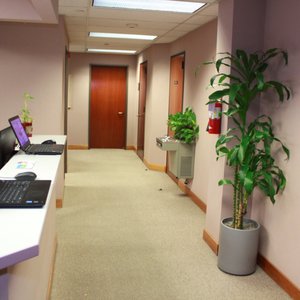 WALEED W SHINDY, MD,MPH - Updated December 2025 - 31 Reviews - 10 ...