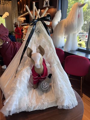 PUCCI CAFÉ - Updated February 2025 - 247 Photos & 115 Reviews - 23501 Cinco Ranch Blvd, Katy ...