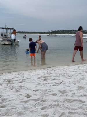 SHELL ISLAND WHITE SAND BEACH - Updated June 2025 - 53 Photos & 36 ...