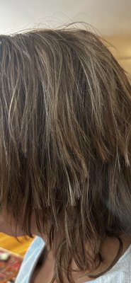 SUPERCUTS - Updated November 2025 - 15 Photos & 49 Reviews - 1605 ...