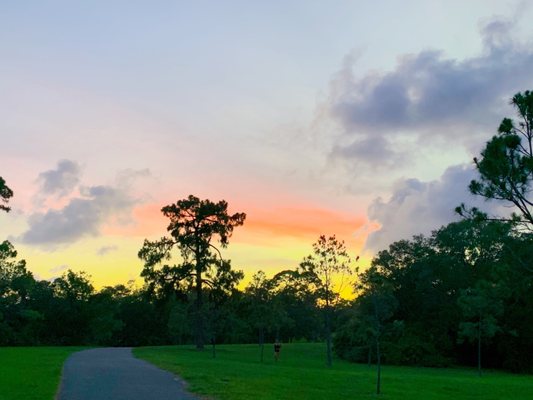 PINE ISLAND RIDGE - Updated June 2025 - 104 Photos - 9420 Live Oak Pl ...