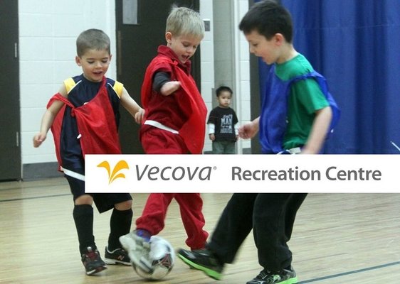 VECOVA - Updated December 2025 - 11 Photos - 3304 33 Street NW, Calgary ...