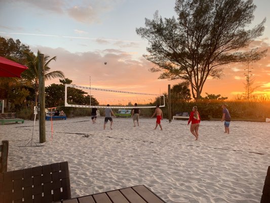 TOASTED MONKEY - 388 Photos & 525 Reviews - 678 75th Ave, St Pete Beach ...