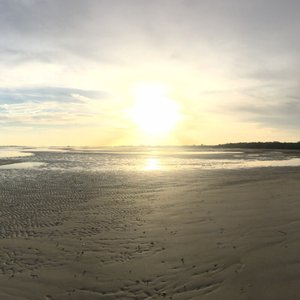 BUNCHE BEACH PRESERVE - 88 Photos & 27 Reviews - 18201 John Morris Rd ...