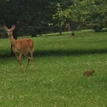 FORMAR NATURE PRESERVE & ARBORETUM - Updated July 2025 - 25 Photos & 13 ...