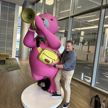 THE SONO COLLECTION - Updated January 2026 - 144 Photos & 56 Reviews ...