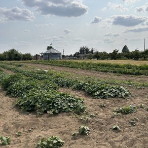 Reserve now at Spokane Produce - Fruits & Veggies - Updated June 2025 ...