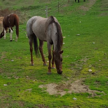 RUSTY BAR RANCH - Updated December 2025 - 29 Photos & 10 Reviews ...