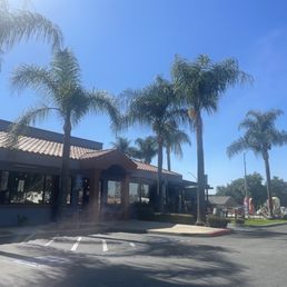 THE PATIO GRILL & CANTINA - Updated July 2025 - 264 Photos & 210 ...