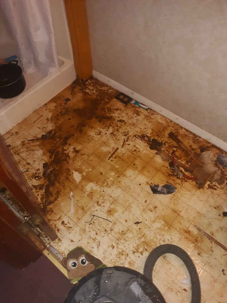 TATOOSH MOTEL - Updated December 2025 - 12880 US Highway 12, Randle ...