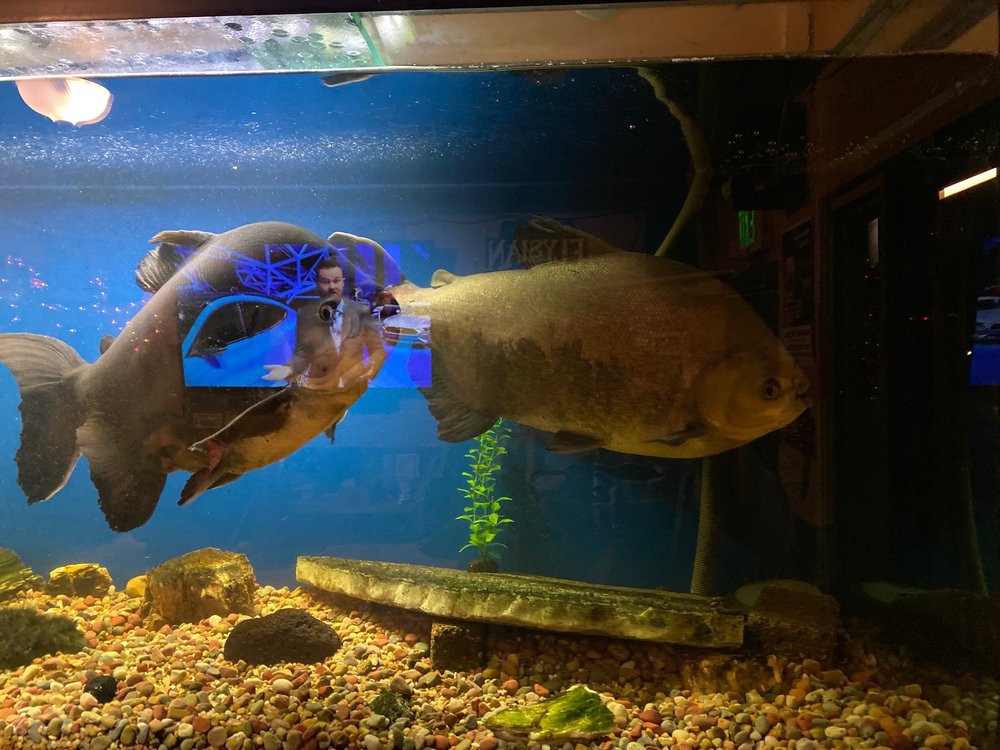 PLA-MOR BAR & GRILL - 100 Photos & 138 Reviews - 21607 SE 272nd St ...