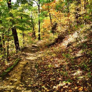 PINNACLES HIKING TRAILS - 173 Photos & 28 Reviews - Hiking - Highway 21 ...