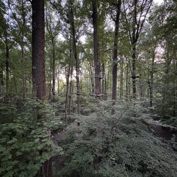 THE ADVENTURE PARK AT SANDY SPRING FRIENDS SCHOOL - TEMP. CLOSED ...