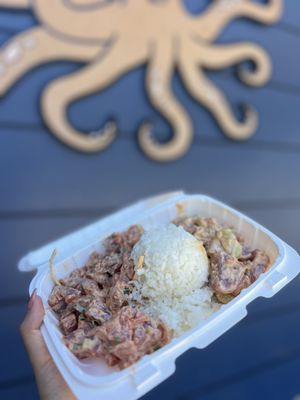 FRESH CATCH - Updated October 2025 - 2720 Photos & 1493 Reviews - 1113 ...