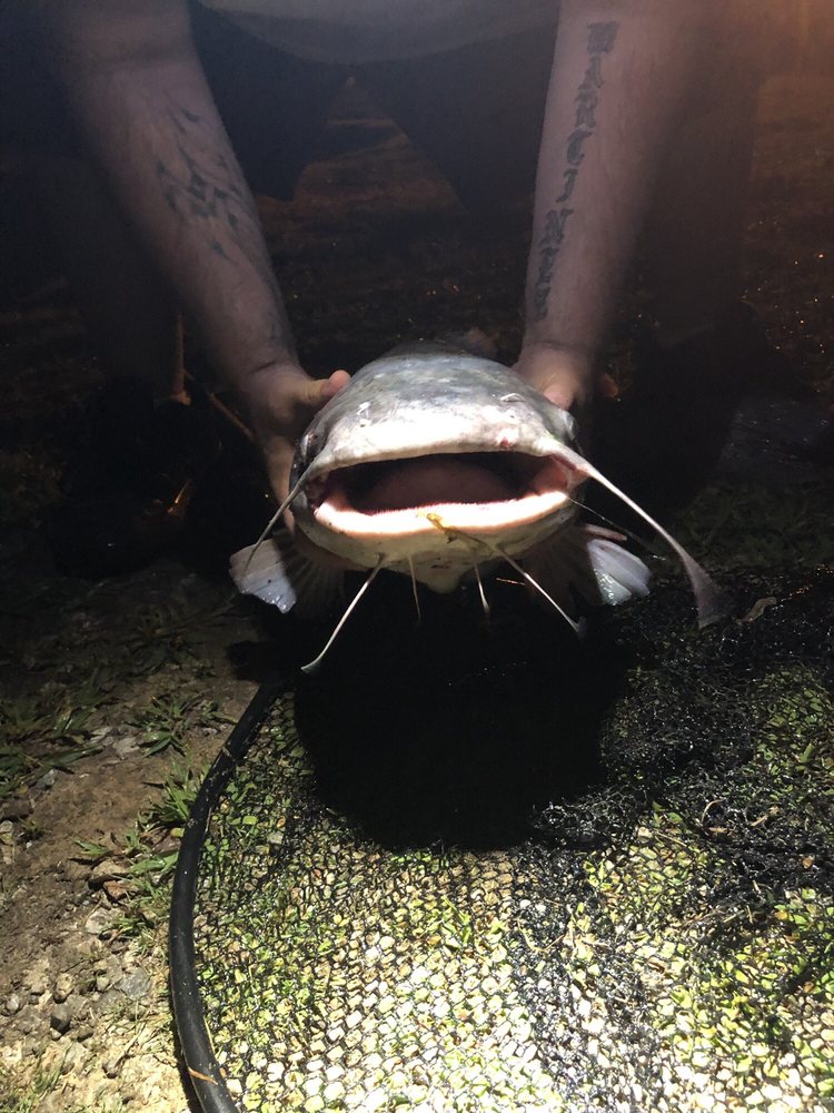 SHERRY’S FISHG LAKE - 2155 Slade Rd, Batavia, OH - Yelp