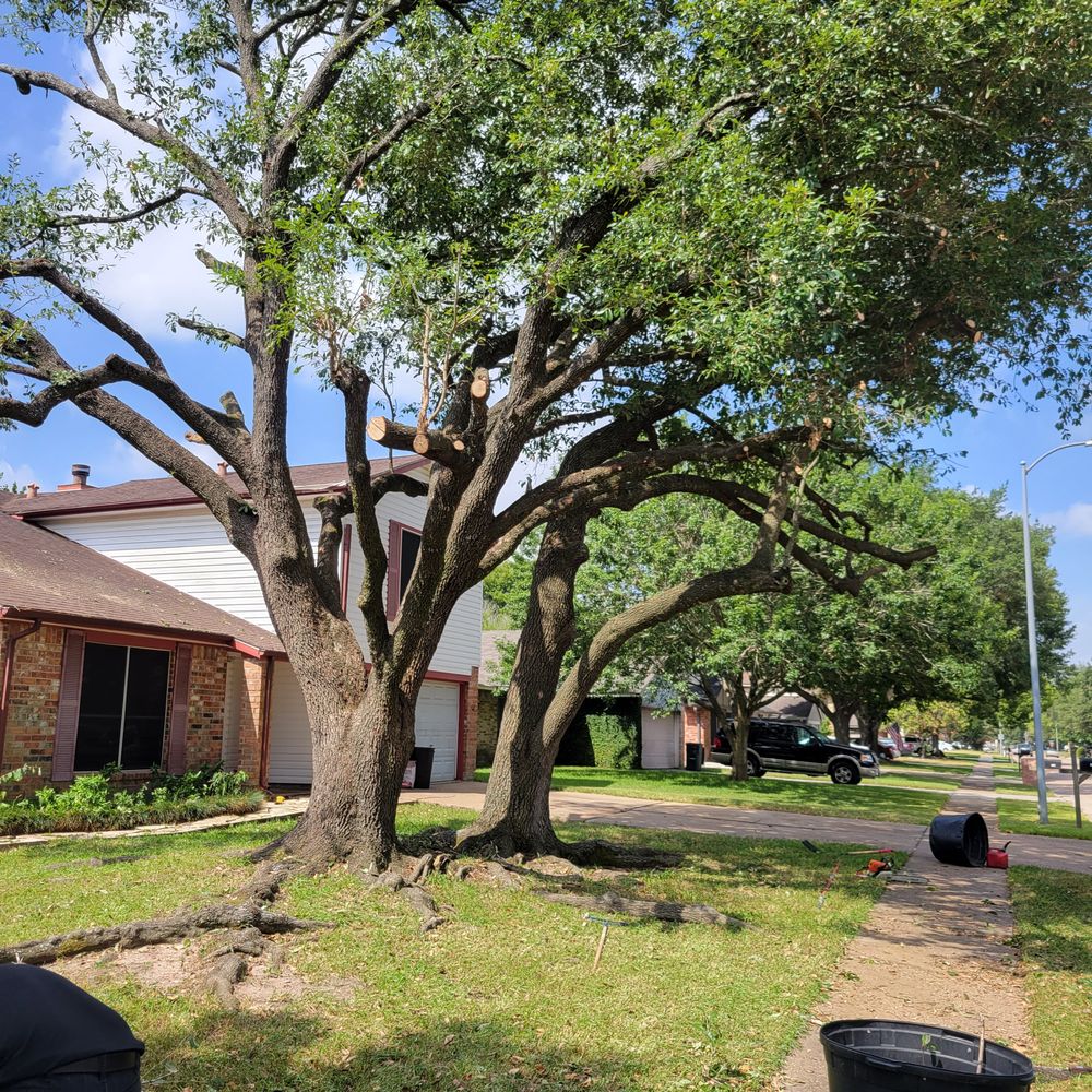 EAGLE TREE SERVICES - Updated October 2024 - 1310 Aldine Meadows Rd ...