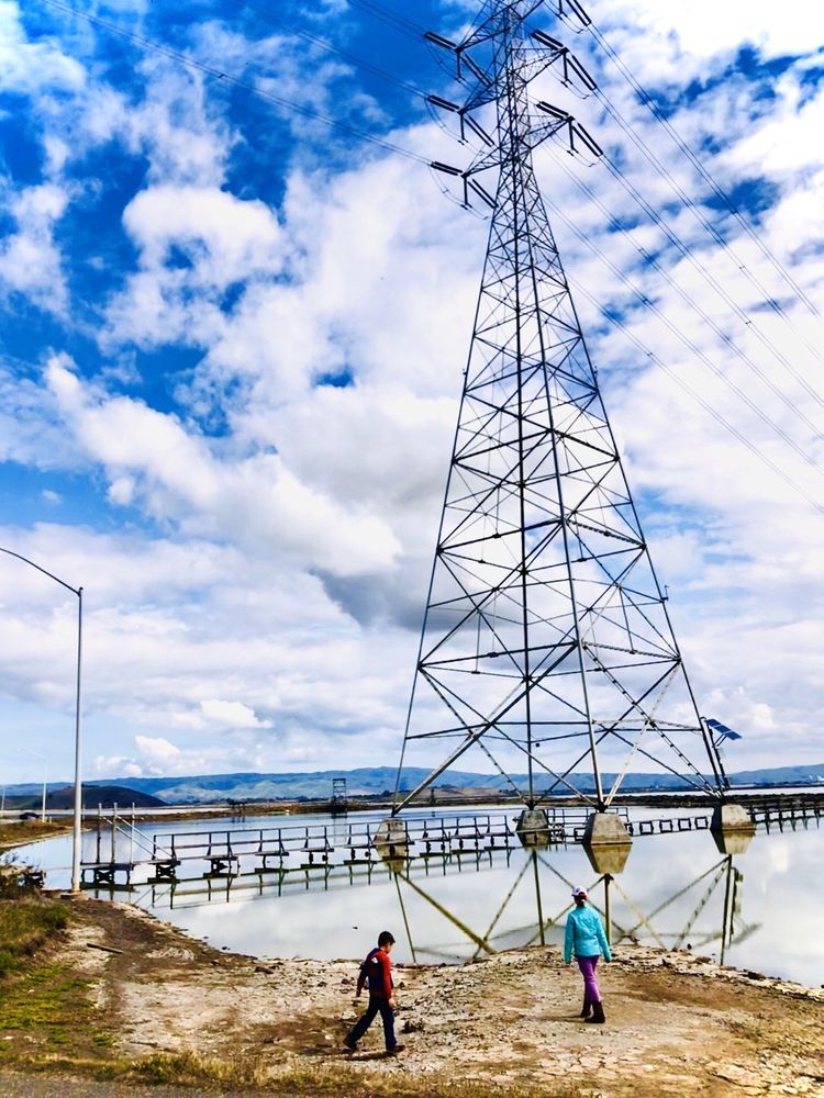 DUMBARTON PIER - 86 Photos & 14 Reviews - 9500 Thornton Ave, Newark ...