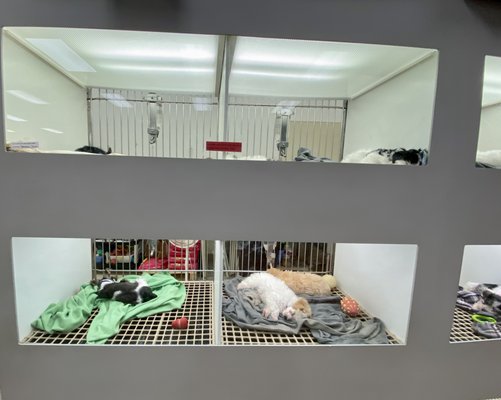 HEARTLAND PETS - Updated January 2026 - 15 Photos & 13 Reviews - 573 ...