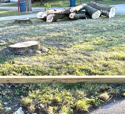 SMITTY’S TREE SERVICE - Updated October 2025 - 84 Photos & 61 Reviews ...