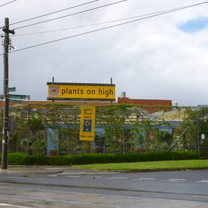 GARDENWORLD NURSERY - Updated September 2025 - Springvale Rd ...