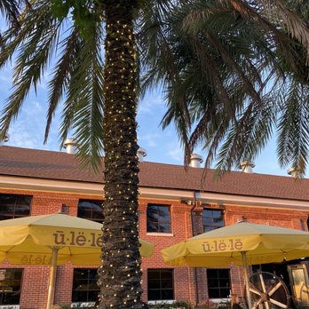 ULELE - 6768 Photos & 4103 Reviews - 1810 North Highland Ave, Tampa ...
