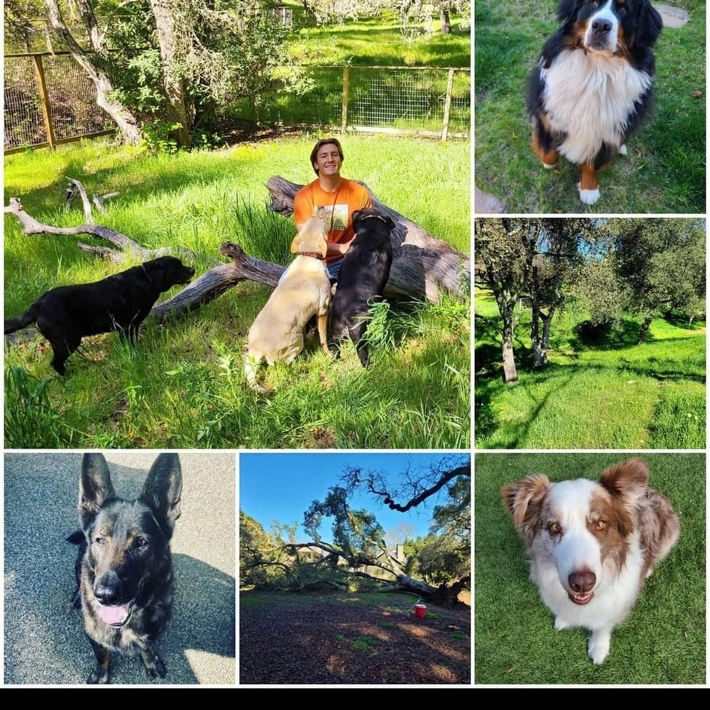 HILL COUNTRY POOP PATROL - Updated May 2024 - 213 Fifth St, Comfort ...