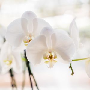 ARDESHIR ROHANI - Updated December 2025 - 15 Reviews - 3824 S Jones ...