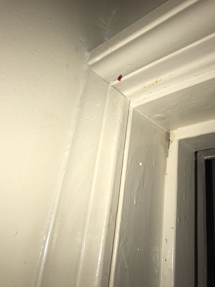 ALPINE MOTEL - Updated September 2024 - 485 Douglas Pike, Smithfield ...