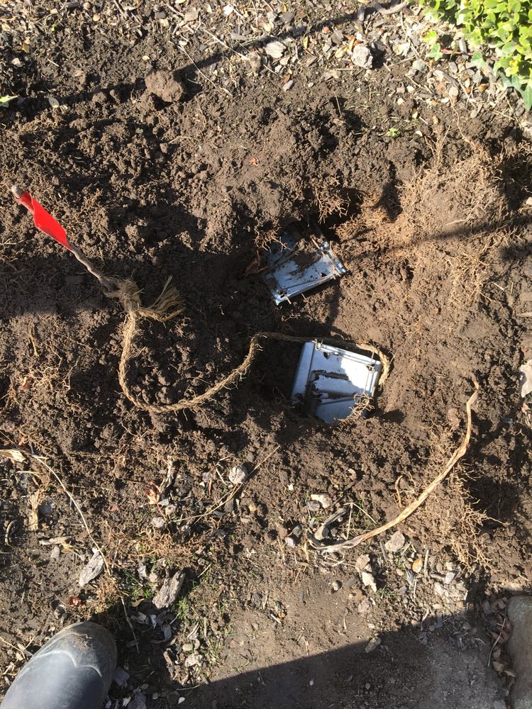 THE GOPHER GAL - Updated November 2024 - 15 Photos - Santa Cruz ...