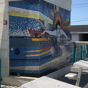 ROY JENKINS POOL - 13 Photos - 154 Columbia Dr, Tampa, Florida ...