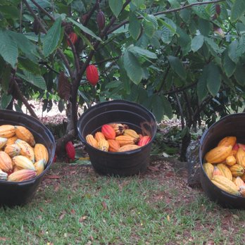 LYDGATE FARMS - Updated January 2025 - 547 Photos & 300 Reviews - 5730 ...