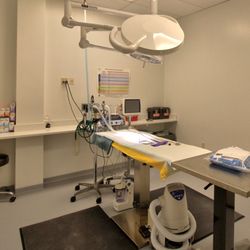 Best Vets Near Me - June 2025: Find Nearby Vets Reviews - Yelp