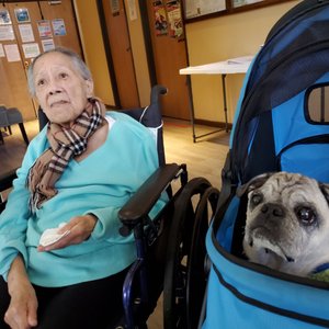 VALLEY VIEW POST ACUTE - Updated April 2025 - 18 Photos & 13 Reviews ...