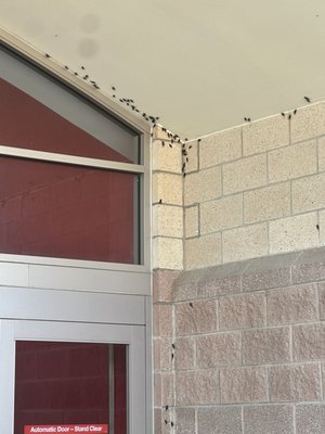 TARGET - Updated December 2025 - 37 Photos & 43 Reviews - 1801 Highway ...