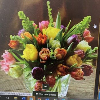 Oberer S Flowers West Chester Township Oh | Best Flower Site