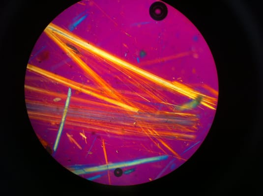 QUANTEM LABORATORIES - Updated October 2025 - 7021 W Wilshire Blvd ...