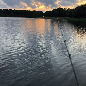 ROCKS POND CAMPGROUND AND MARINA - Campgrounds - 108 Rocks Pond Rd ...