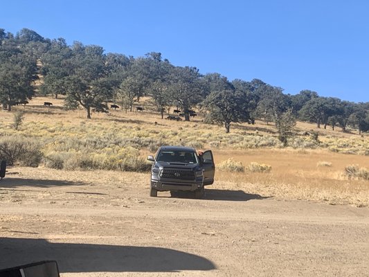 BRITE LAKE CAMPGROUND - 39 Photos & 19 Reviews - 22915 Banducci Rd ...