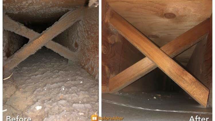 ALPHA DUCT CLEANING - Updated December 2025 - Indianapolis, Indiana ...