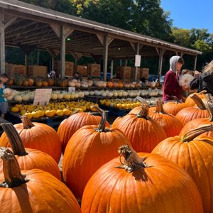 MATTHYS FARM MARKET - Updated May 2025 - 57754 Crumstown Hwy, South ...