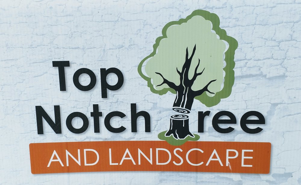 TOP NOTCH TREE AND LANDSCAPE - Updated December 2025 - 20 Photos ...