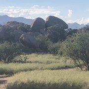 TRIANGLE T RANCH - 42 Photos & 26 Reviews - 4190 Dragoon Rd, Dragoon ...