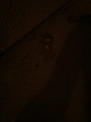 ONE 51 PLACE - Apartments - 15100 NW 150th Ct, Alachua, FL - Phone ...